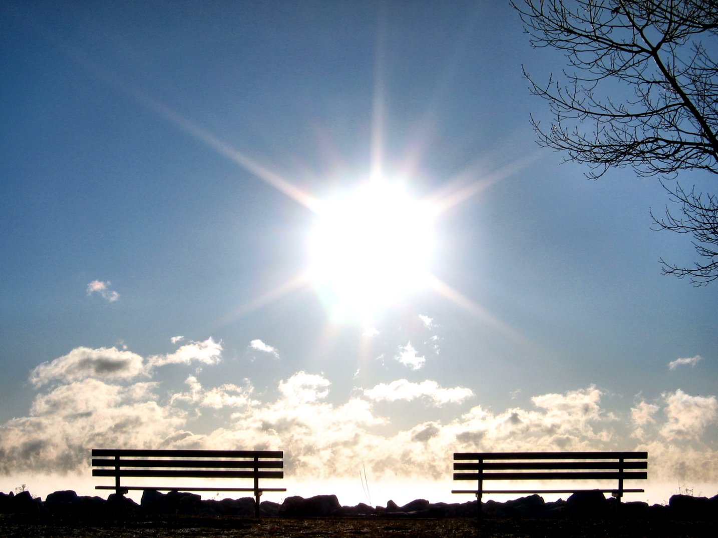 My top ten to bring us in from the January cold – That quintessence of dust