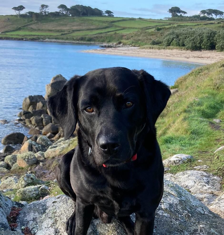 Book update. What’s coming up from me this summer… – That quintessence ...